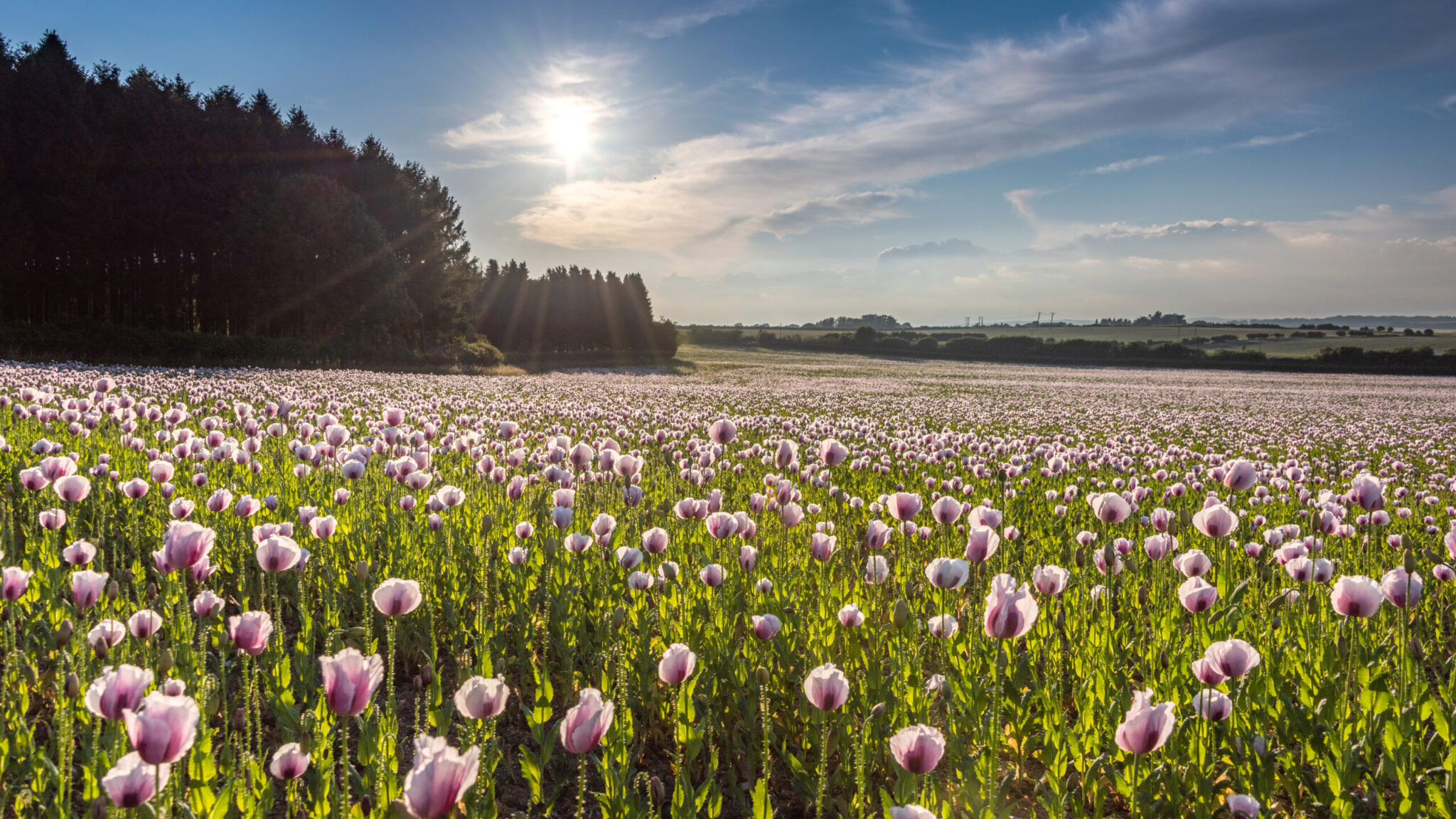 James Loveridge Photography - James Loveridge is a Landscape, Property ...